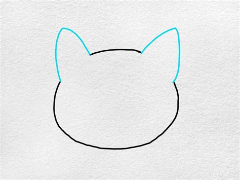 Easy Cat Face Drawing Helloartsy