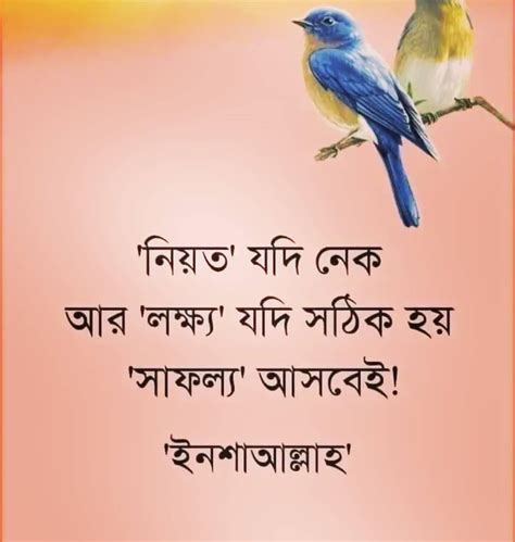 প্রকৃতি প্রেমিক