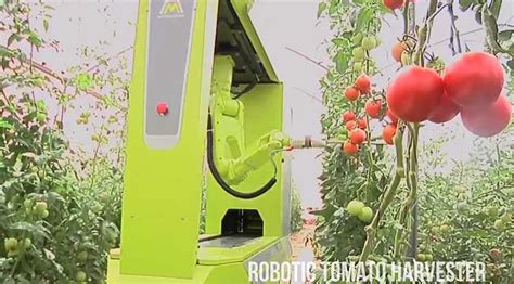 新西兰Robotics Plus猕猴桃采摘机器人 农业机器人 视频 智慧农业 农博士农先锋网