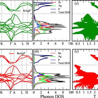 Phonon Dispersion Along High Symmetry Directions A Site Resolved