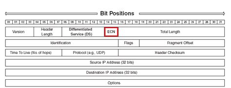 6 Template For An Ip Header Where The Ecn Bits Reside Download