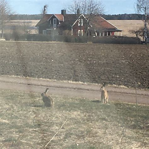 Har Passion Gangaochrurik