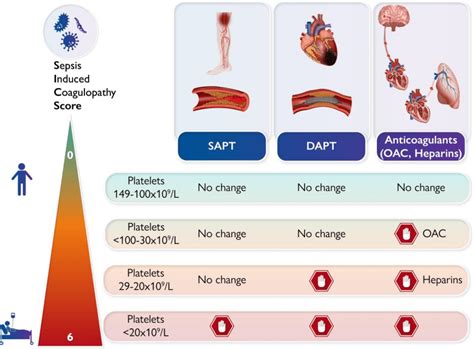 合并重症感染，该如何抗栓？esc和国际血栓与止血学会联合声明 患者 治疗 强度