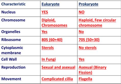 Intro To Microbiology Infection Control Flashcards Quizlet