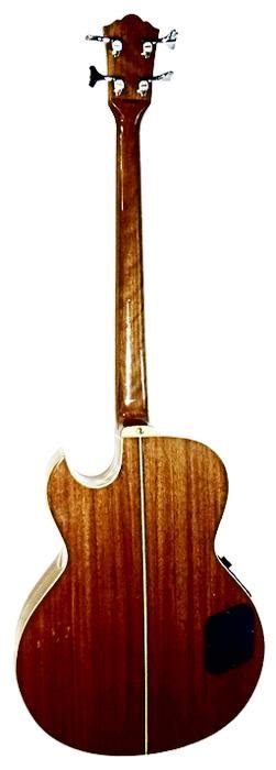 Washburn Ab 20 Electricacoustic Bass Used For Sale At Guitar Doctor