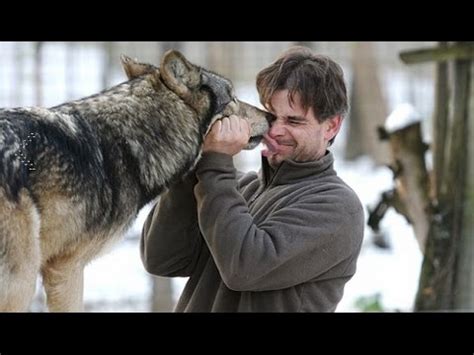 Волки и люди - Wolves and humans - YouTube