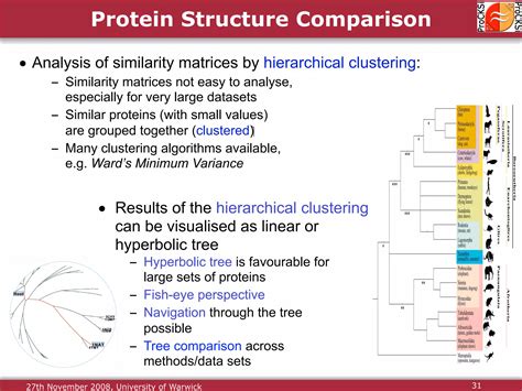 protein structure alignment and comparison pdf