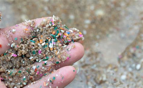 What Are Microplastics Are They Harmful In Our Bodies And How To Avoid