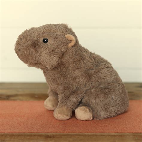 Capybara Warmies Cracker Barrel