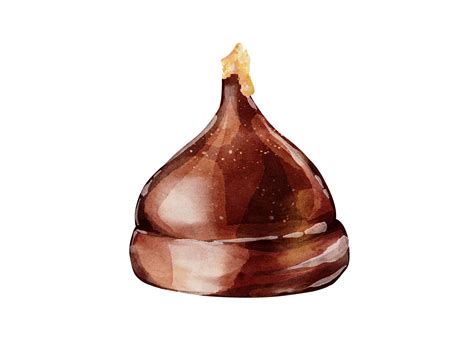 Dark Chocolate Watercolor 32499173 Png