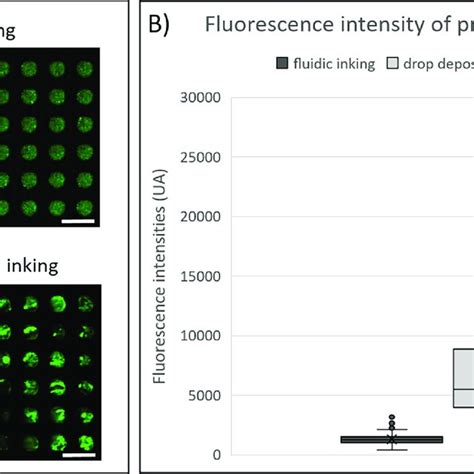cell microarray fabrication a representative scheme of cell