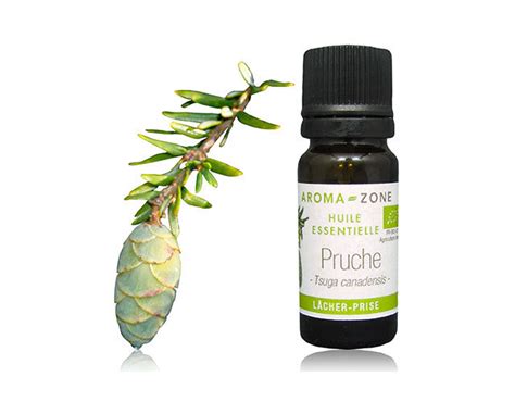 20 Produits Naturels Pour Surmonter Les Moments Difficiles Et Vaincre
