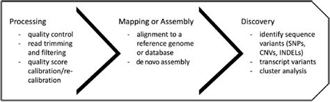 General Features Of Ngs Data Analysis Cnv Copy Number Variation