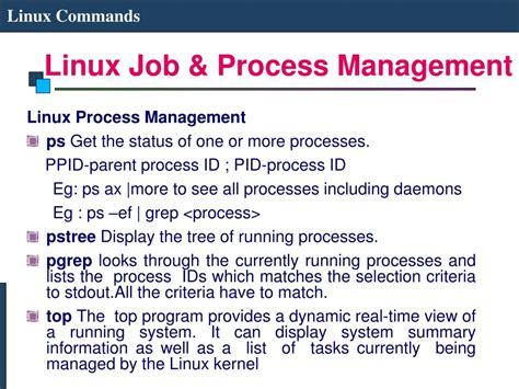 PPT Linux Filesystem Management PowerPoint Presentation Free Download ID