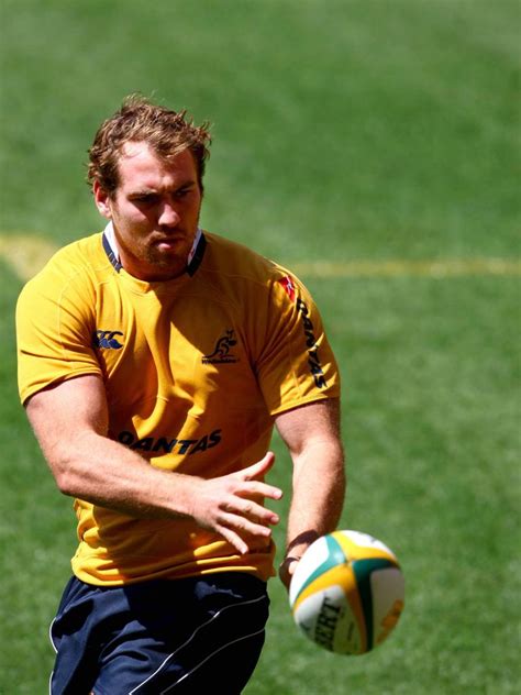 Rocky Elsom New Evidence Could Clear Former Wallabies Captains Name