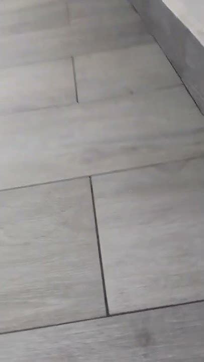 كيفاش نصايب جوانات ديال فو باركي وبلا ما يشهاب Youtube