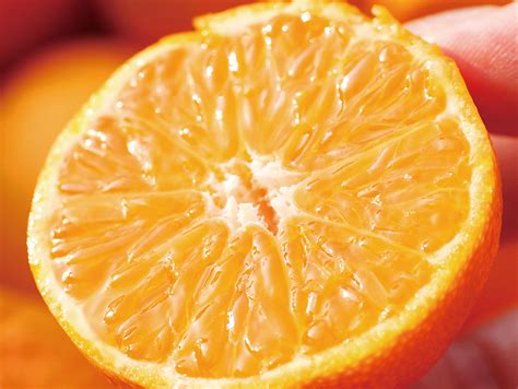 【夏ギフトの定番】佐賀の夏を贈る。「佐賀ぜりぃ」│佐賀市で和菓子を買うなら菓心まるいち