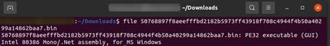 6 Linux Commands I Use For Malware Analysis