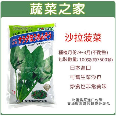 【蔬菜之家滿額免運00a51】大包裝沙拉菠菜種子100克可當生菜沙拉炒食也非常美味 露天市集 全台最大的網路購物市集