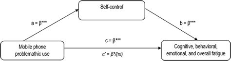 Problematic Smartphone Use And Social Media Fatigue Prbm