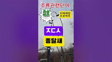 이걸 모두 맞출 수 있을까요 치매예방초성퀴즈게임 뇌새이름 Youtube