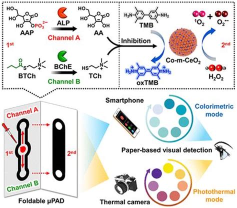 A Programmable Microfluidic Paper Based Analytical Device For Simultaneous Colorimetric And
