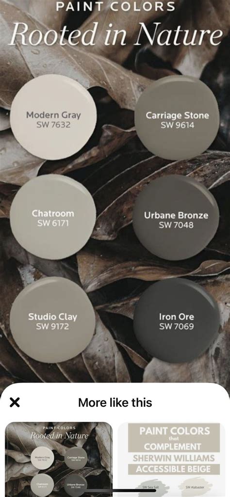 Some Paint Colors That Are In The Same Color Scheme