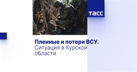 Пленные и потери ВСУ Ситуация в Курской области