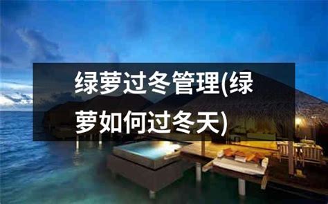 绿萝过冬管理 绿萝如何过冬天 养花经验