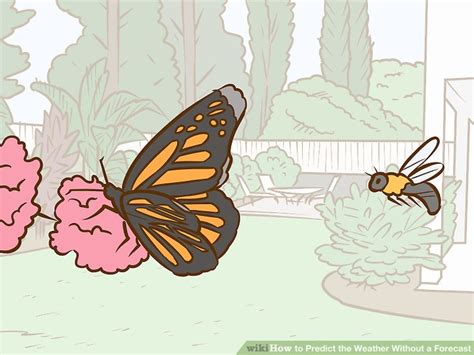 Ways To Predict The Weather Without A Forecast WikiHow