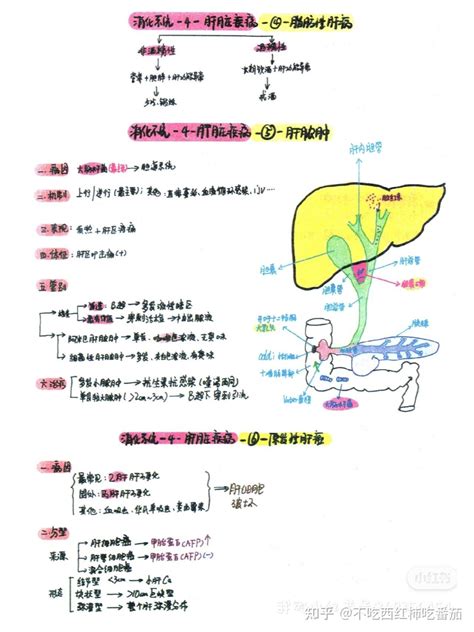 Pdf Pdf