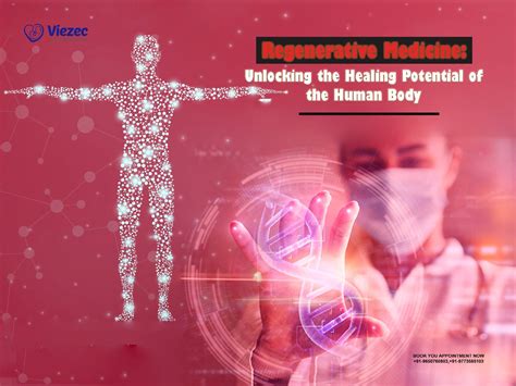 Regenerative Medicine Healing Potential Of The Human Body