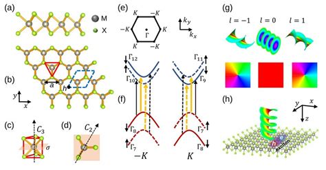 Monolayer Transition Metal Dichalcogenide Ml Tmd Crystal And Band Download Scientific Diagram