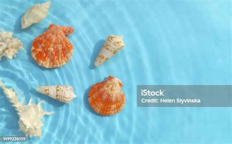 정상의 파란색 배경에 여름 해변에서 다양한 조개와 물이 물결칩니다 복사 공간 수채화에 대한 스톡 사진 및 기타 이미지 수채화 해변 계절 Istock
