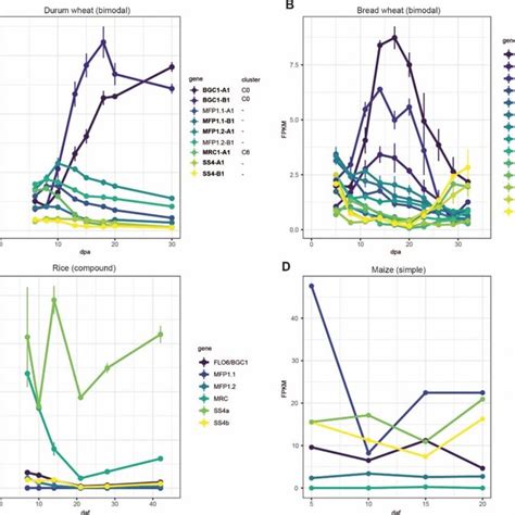 Identification Of Distinct Expression Profiles During Endosperm