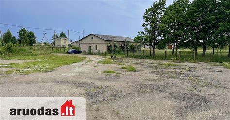 Kiauliu Ferma Skelbimai Skelbiult