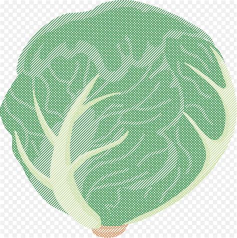 新鲜蔬菜水果大头菜元素PNG图片素材下载 图片编号10722254 PNG素材网
