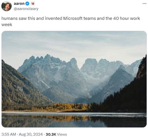 Humans Saw This And Invented Microsoft Teams And The 40 Hour Work Week