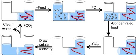 Separating Water From Aqueous Mixtures Jessop Lab