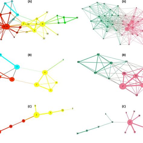 The Backbone Extraction Of Two Networks Zachary Karate Club On The