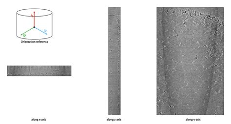 Sample Region Of Interest Roi Data Obtained After Preprocessing Download Scientific Diagram