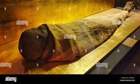 Cairo Egypt January 5 2020 Mummy Of Pharaoh Merenre I From The 6th