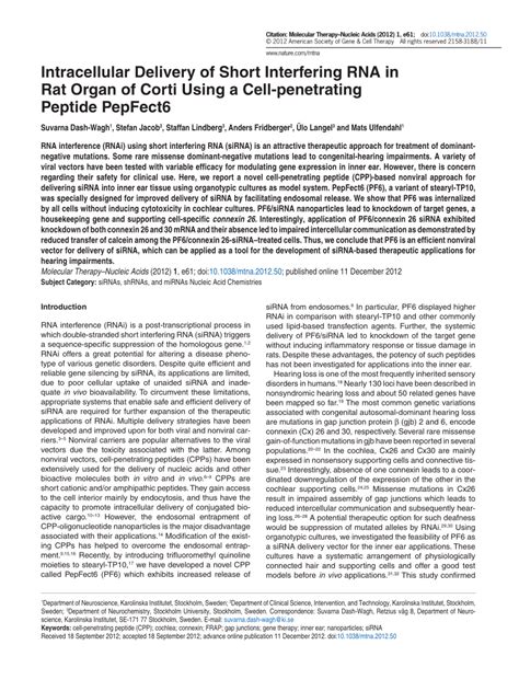 Pdf Intracellular Delivery Of Short Interfering Rna In Rat Organ Of