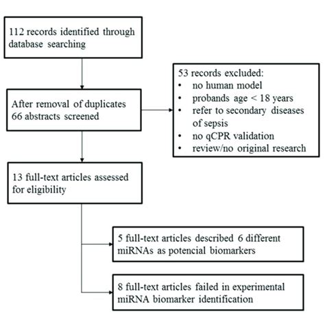 Overview Of The Droplet Digital Pcr Ddpcr Assay Workflow For Download Scientific Diagram