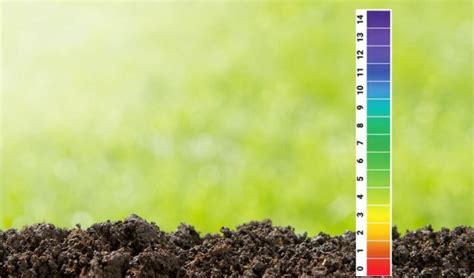Soil Ph Cropaia