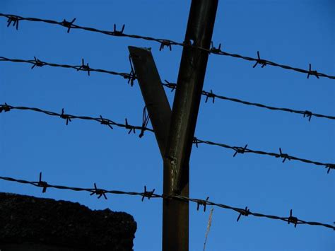 Barbed Wire Bondage Telegraph