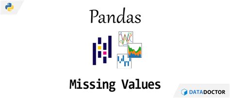 py 기초 pandas 결측치 data doctor