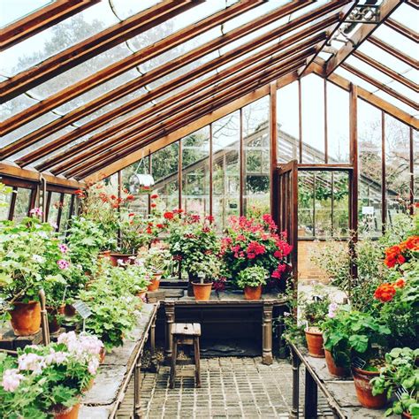 Chelsea Physic Garden Archives A Little Bird