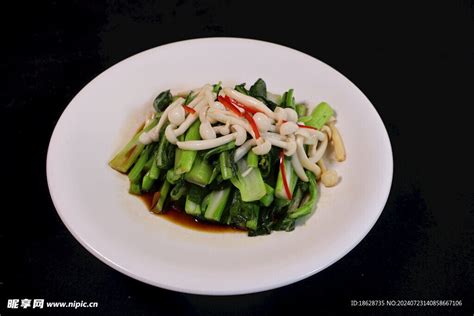 白玉菇炒广菜心摄影图传统美食餐饮美食摄影图库昵图网