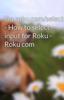 Go Roku Selectinput How To Select Input For Roku Roku Go